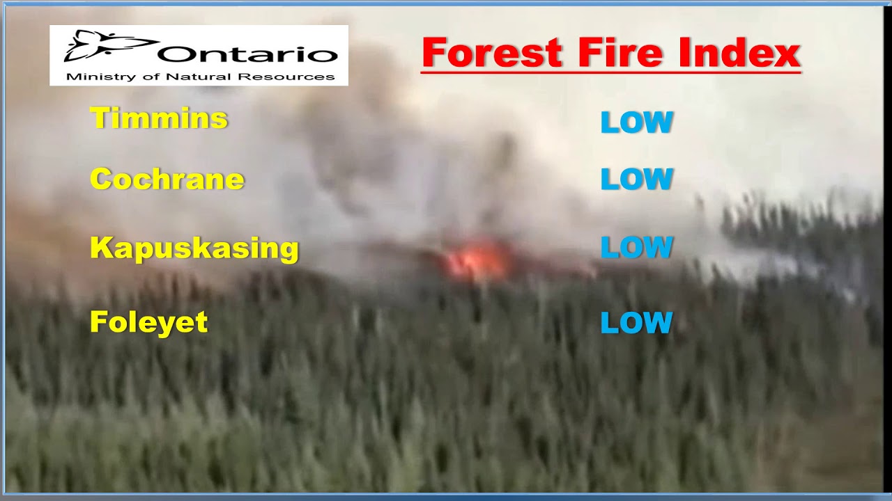 Timmins-MCTV news, forest fire index - YouTube
