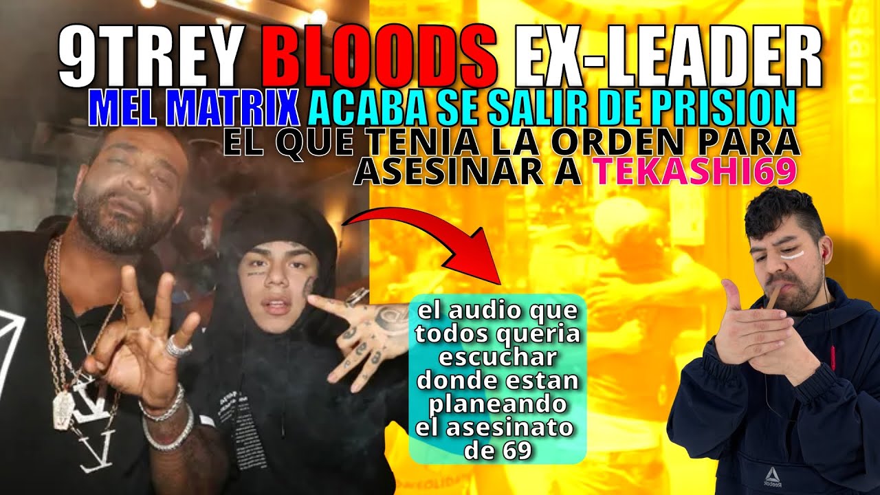 Tekashi 69 (9TREY BLOODS EX-LEADER MEL MURDA FREE) mel expose #trending ...