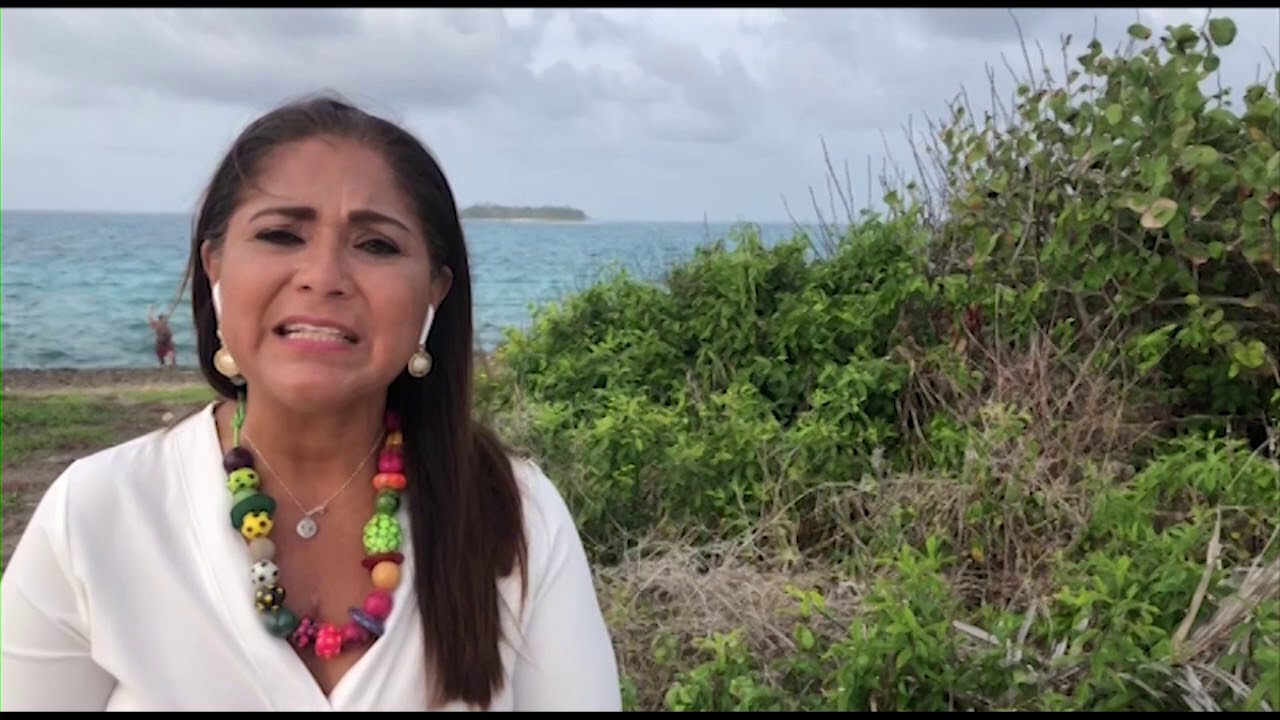 Balance Legislativo de la Representante Elizabeth Jay Pang - YouTube