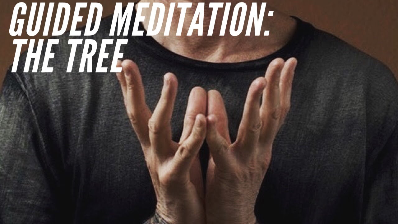 Guided Meditation in English: THE TREE. - YouTube