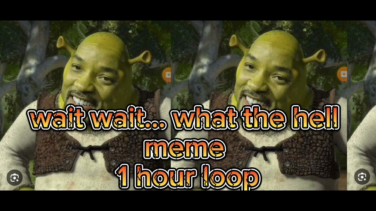 wait wait wait wait what the heeeeeeeeell meme 1 hour loop - YouTube