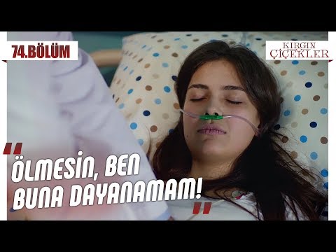 Kalbi duran Eylül! - Kırgın Çiçekler 74.Bölüm