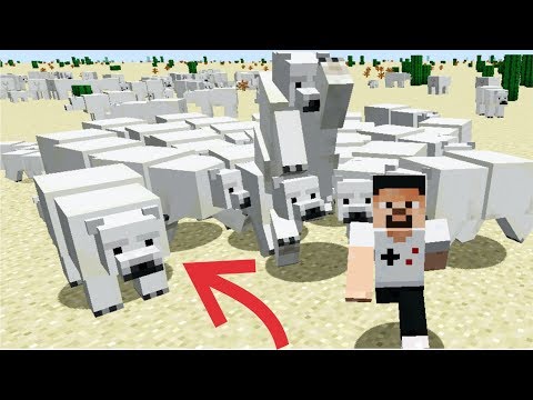 1 MİLYON AYI, Çölde Kutup Ayıları - BattleCraft