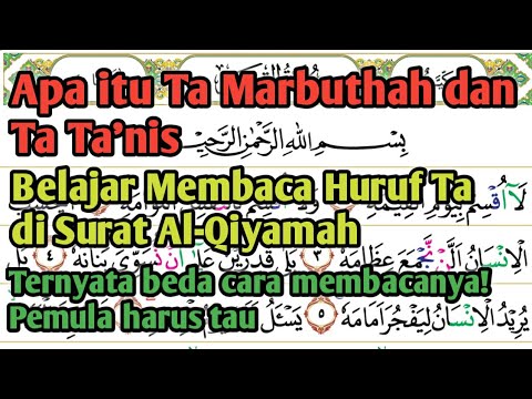 Apa Itu Ta Marbutah dan Ta Ta'nits | Melancarkan bacaan Al Quran huruf ta di Surat Al Qiyamah ...