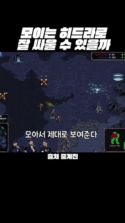 모이는 히드라로 잘 싸울 수 있을까 스타크래프트 히드라 프로토스 스타플레이 Youtube
