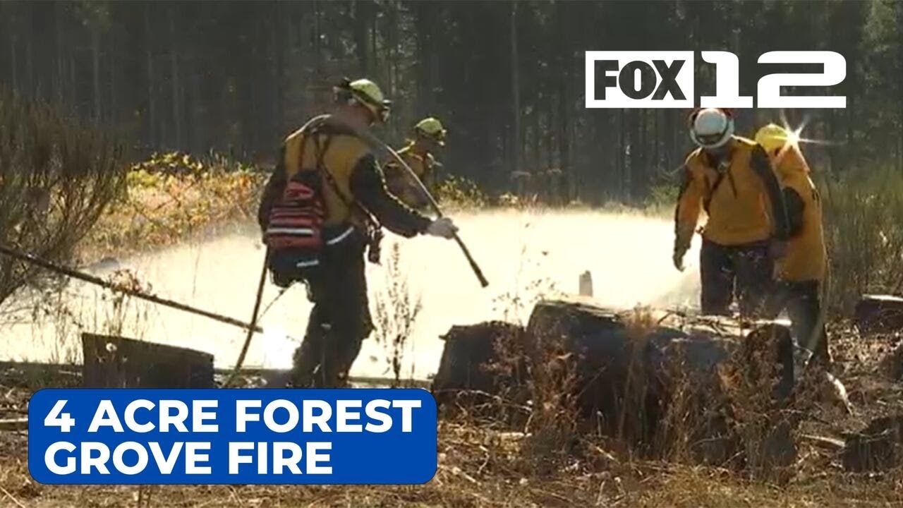 4 acre fire in Forest Grove under control - YouTube