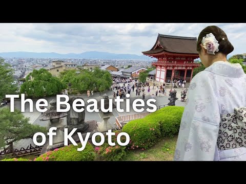The Beauties of Kyoto  #viral #viralvideo #asmr