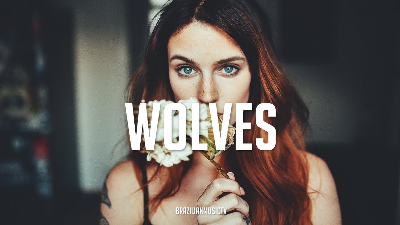 Selena Gomez & Marshmello - Wolves (Renzyx Remix) - YouTube