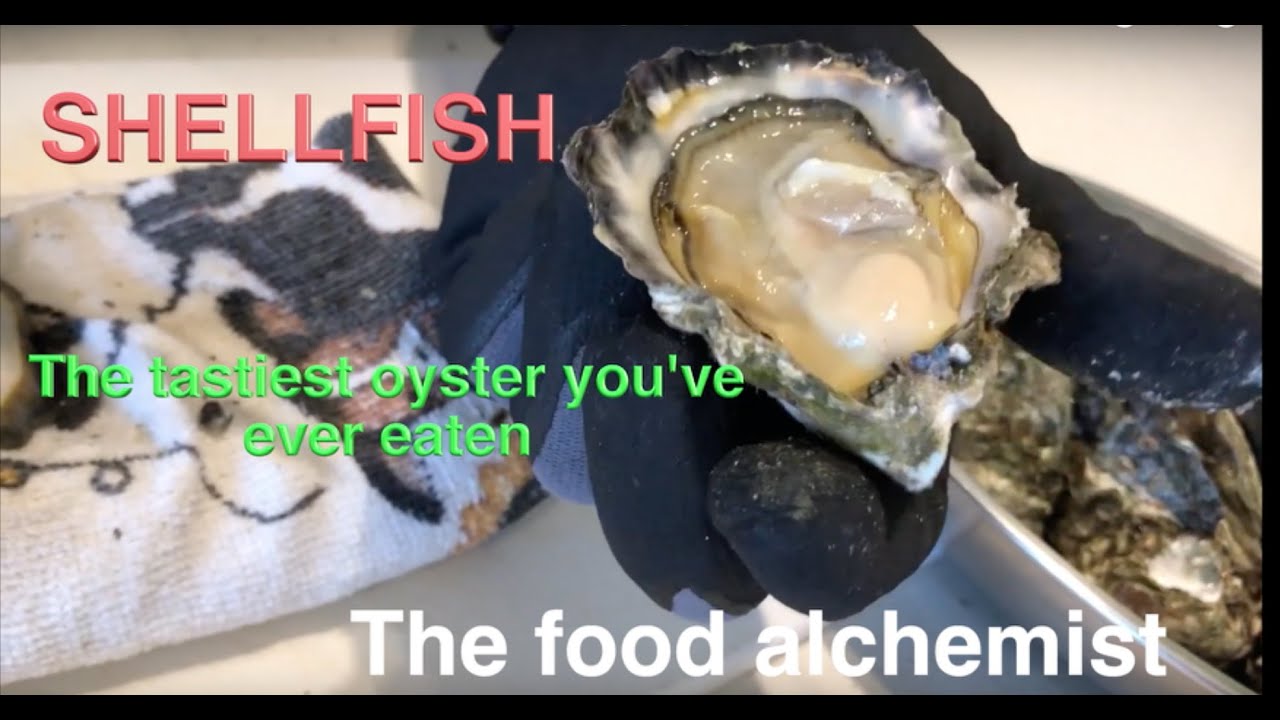 The food alchemist ( Seafood ) Oysters & abalone, cooking for special ...