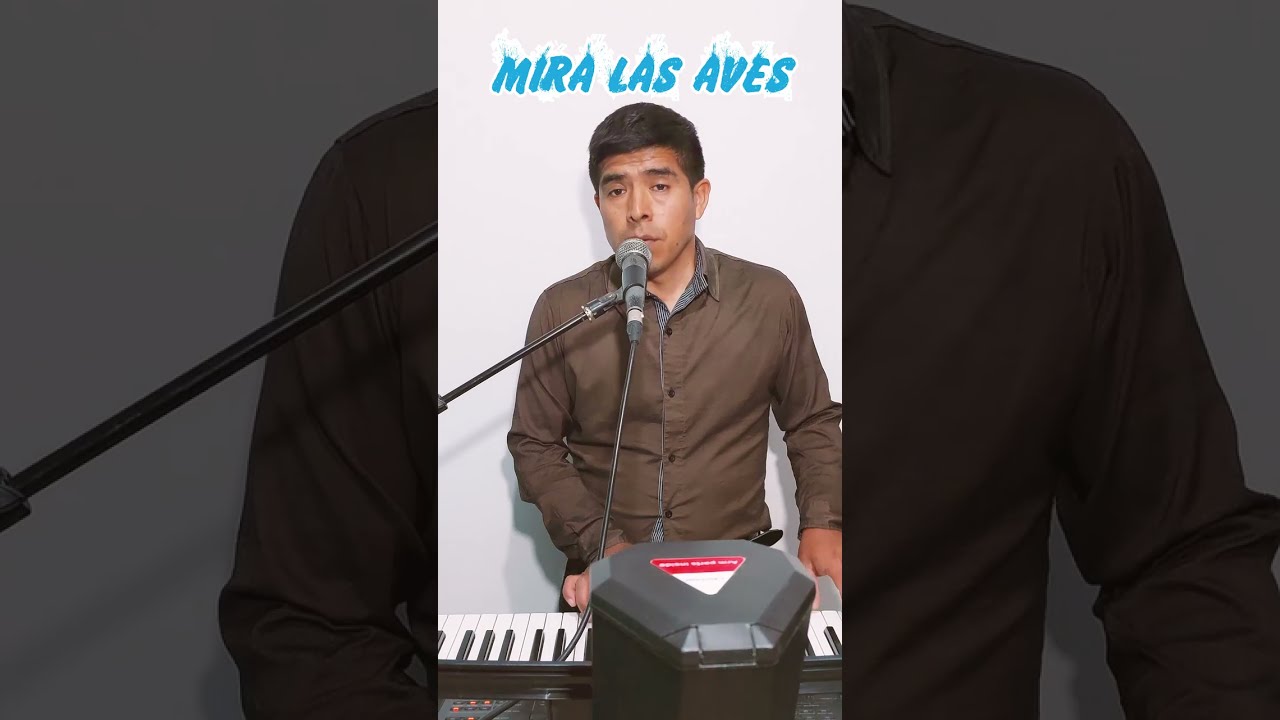 Mira las aves como Alaban I Olam Shadai I #SHORTS - YouTube