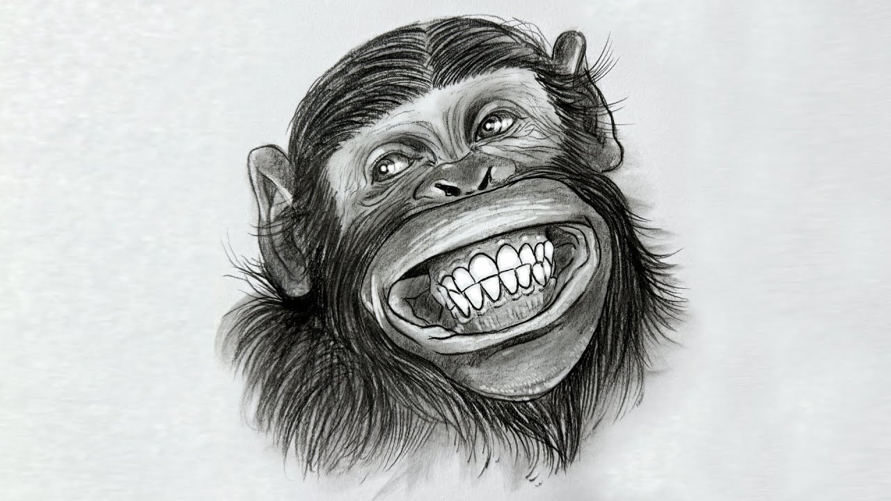 Drawing a Cheeky Monkey 🙉🙊 The Smiling Monkey 🐵 - YouTube