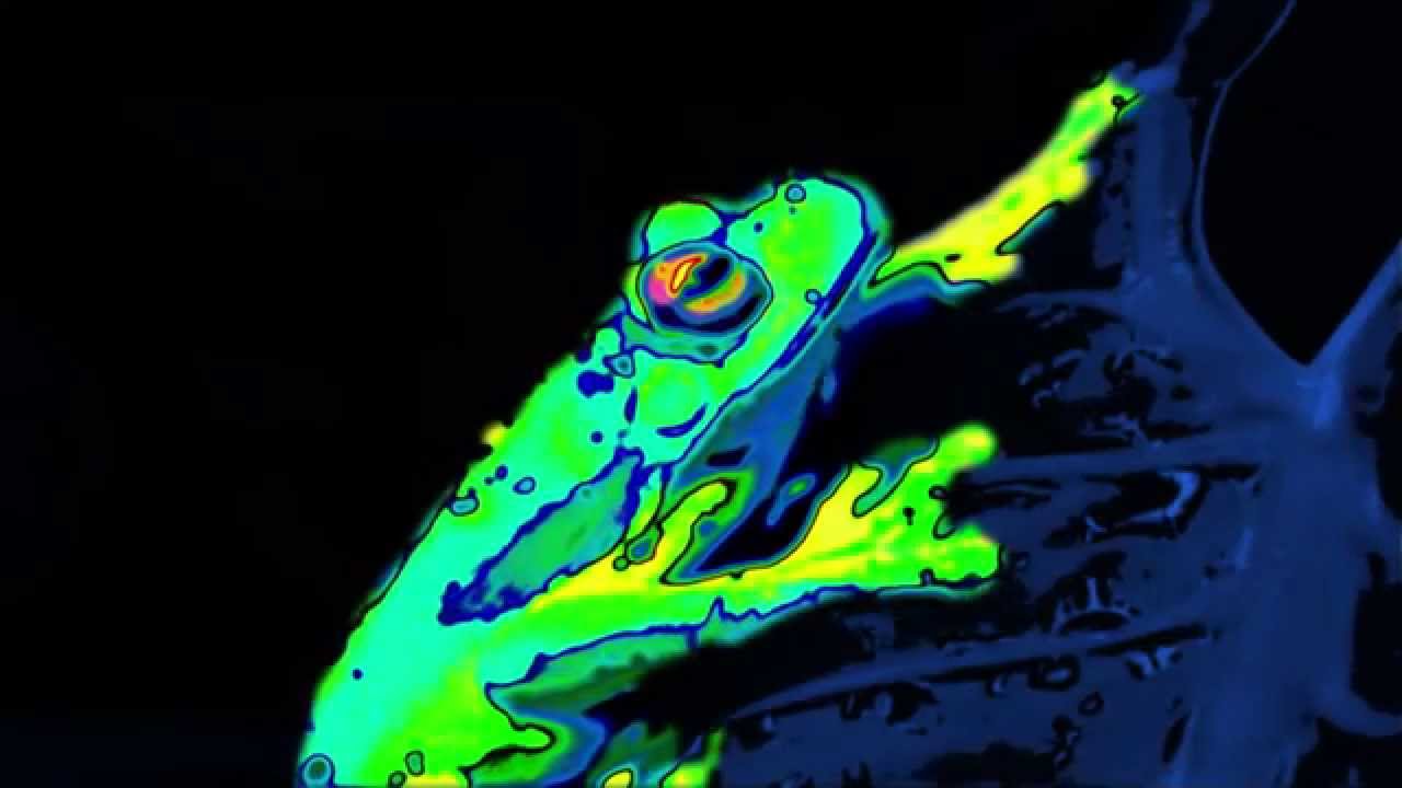 Predator VISION MODE - YouTube