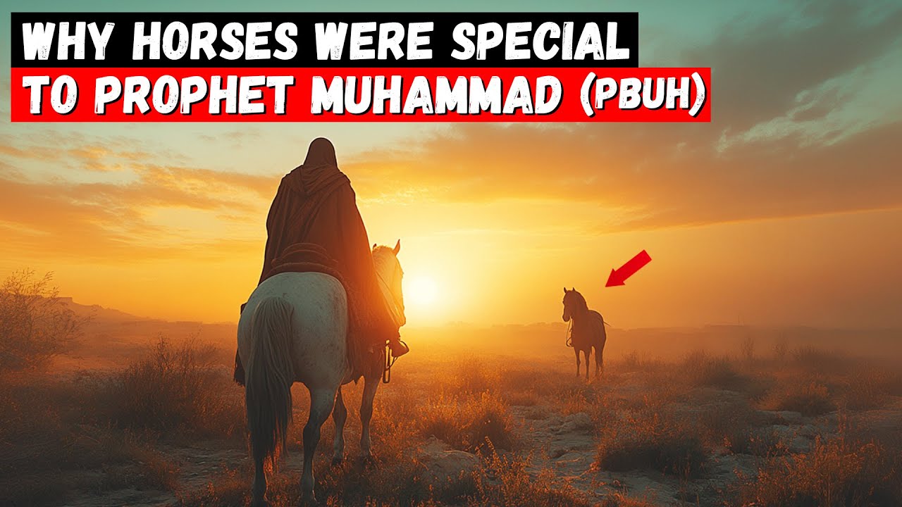 Why the Prophet Muhammad PBUH Loved Horses - YouTube