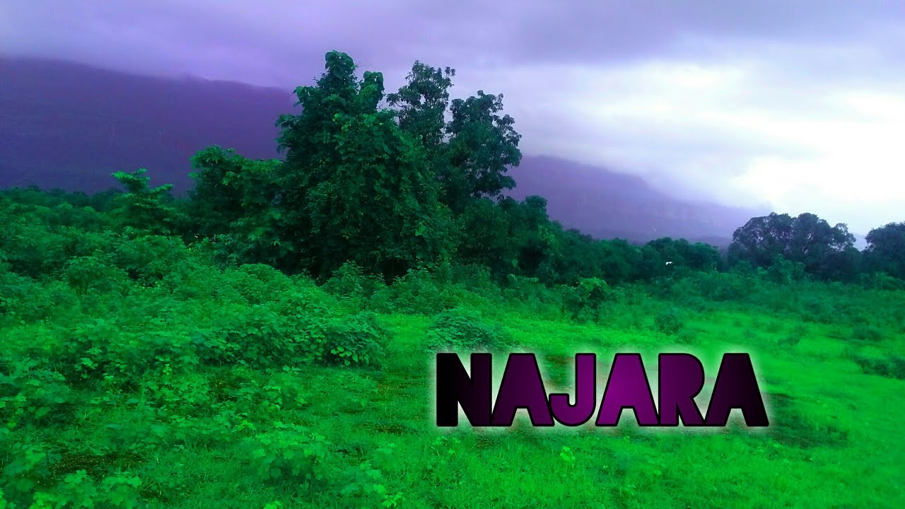 vlog full form ll vlog in hindi ll vlogger meaning ll vloggung ll - YouTube