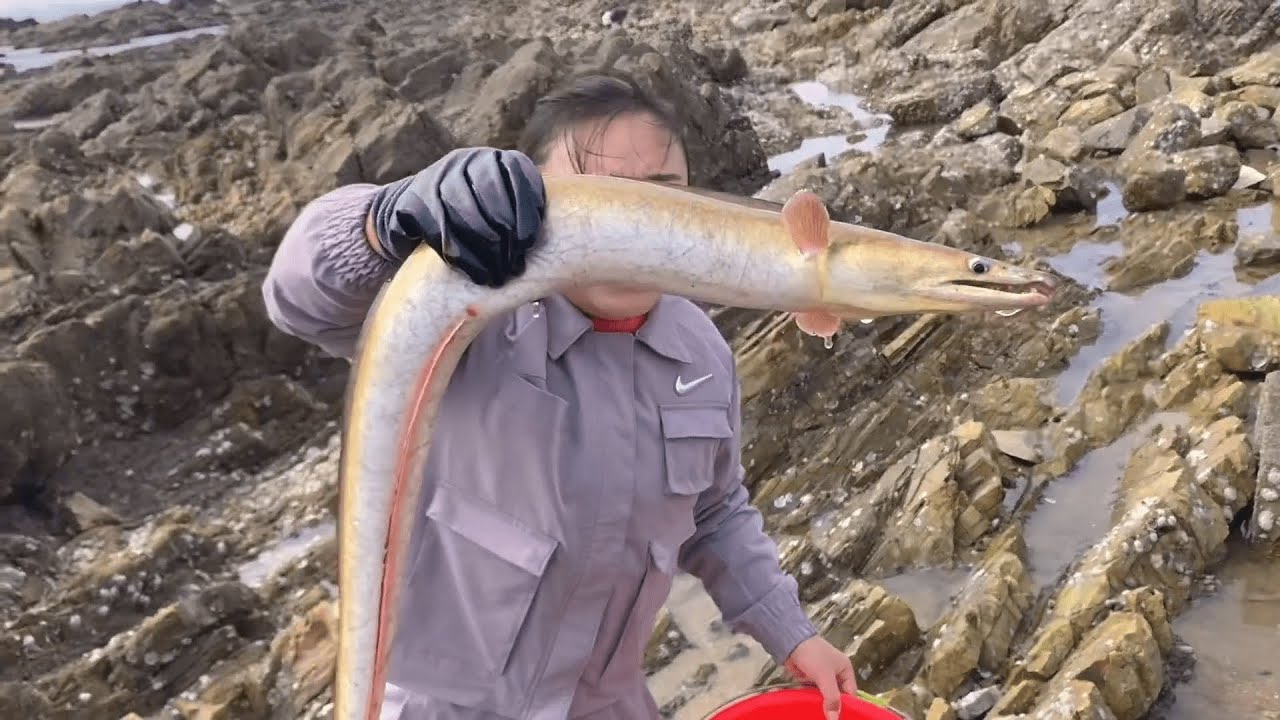 Xiaozhang Picked Up A Giant Moray Eel Full Of Fangs（Catch the sea ...
