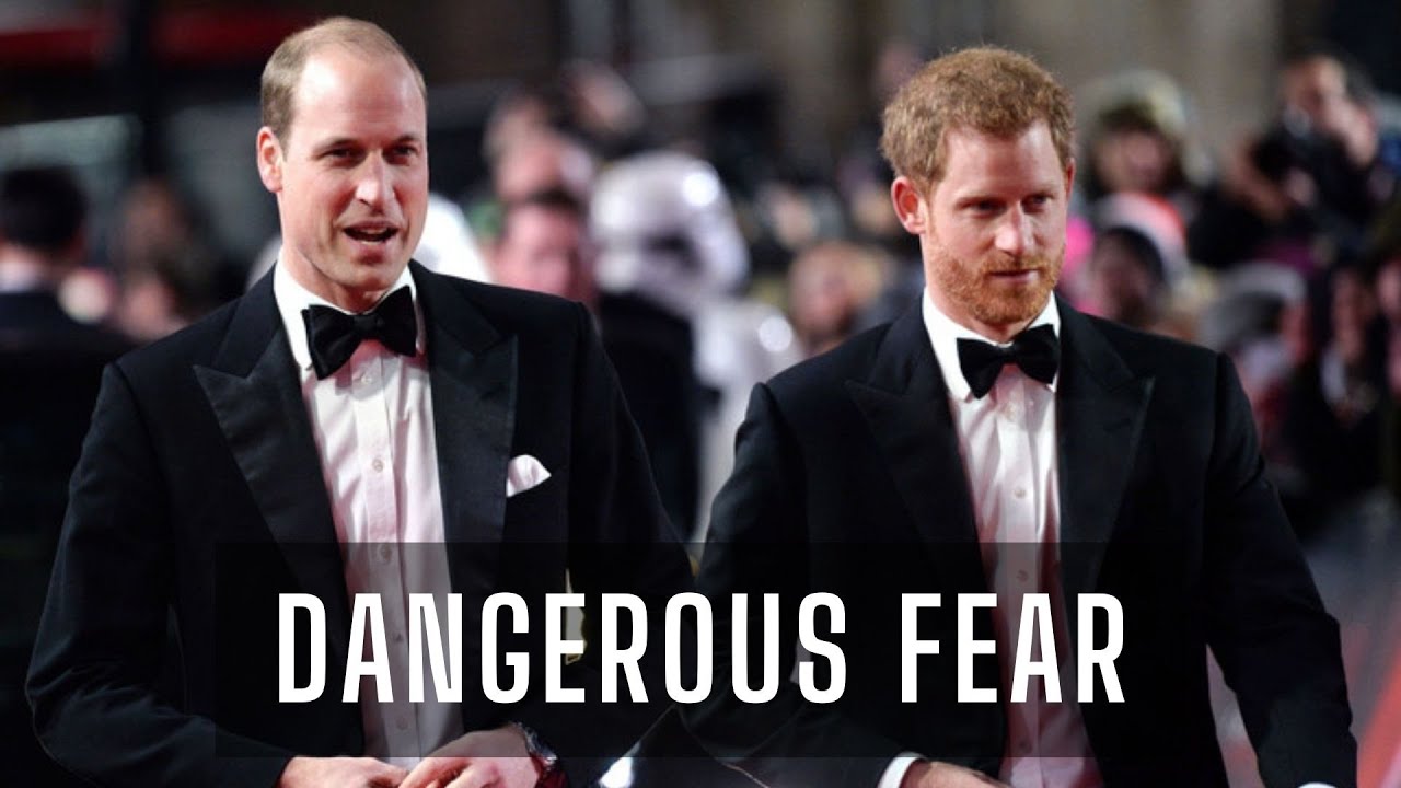 ROYAL FAMILY NEWS! Dangerous fear for the life of Prince Harry and ...