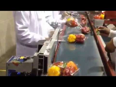 Emplex MPS 6100 Band Sealer Sealing Bell Pepper Bags | ProPac.com - YouTube