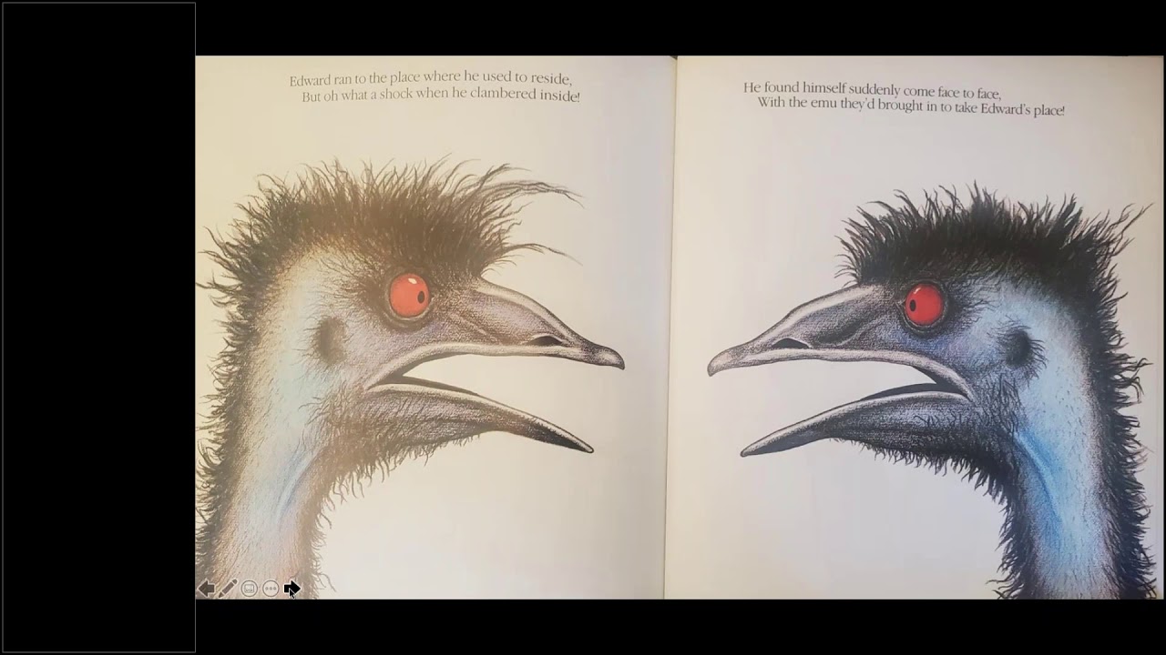 Birds Connect Our World Storytime: Edward the Emu - YouTube