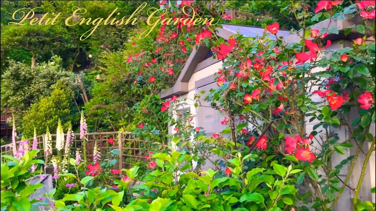 On-Line Open Garden of Petit English Garden: Potager in May 2020 - YouTube