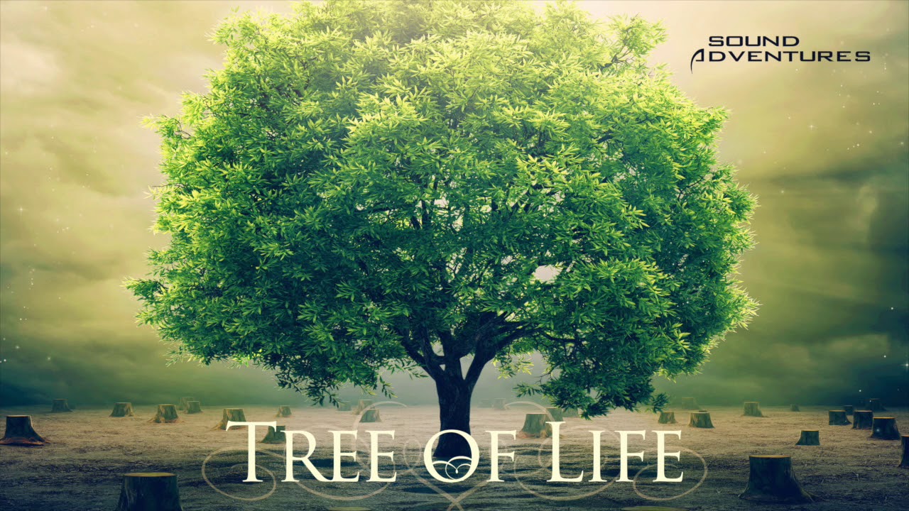 Sound Adventures - Secret Agent Mom - YouTube