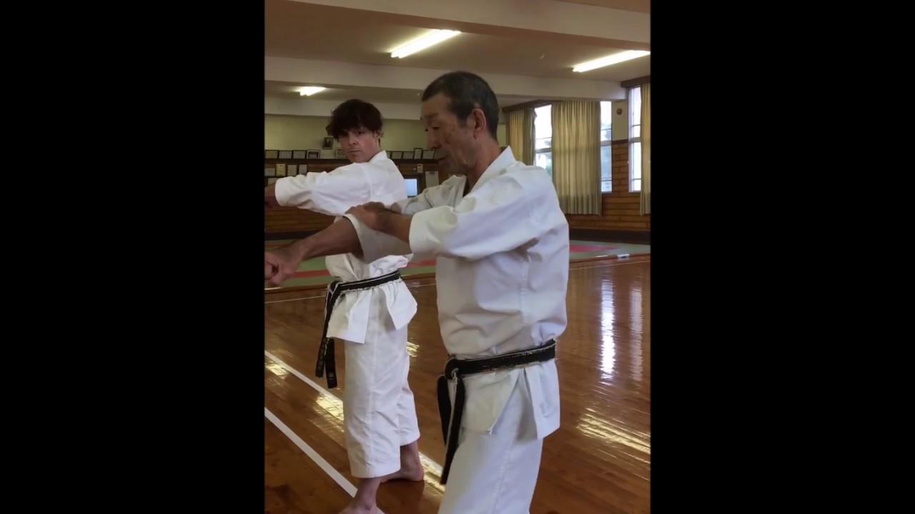 Osaka Sensei personal training of Andre Bertel: November 25th, 2018 ...