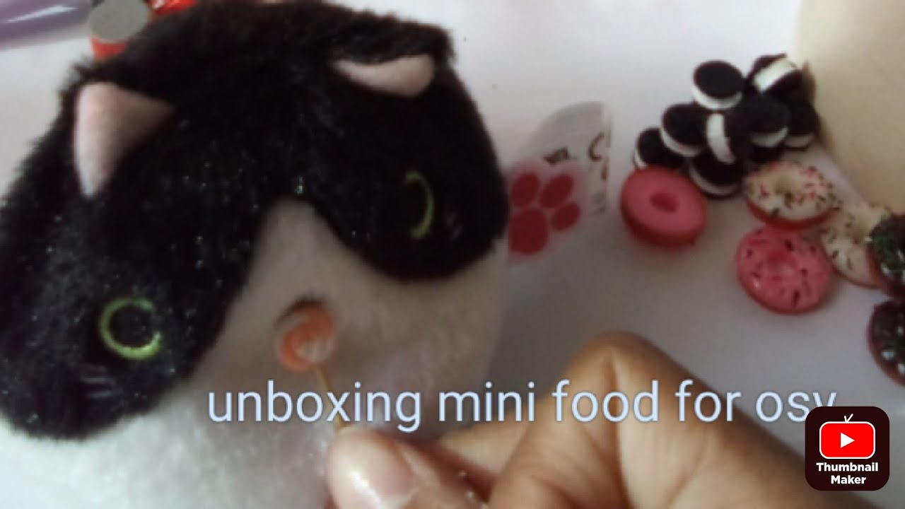 unboxing mini foods for osy - YouTube