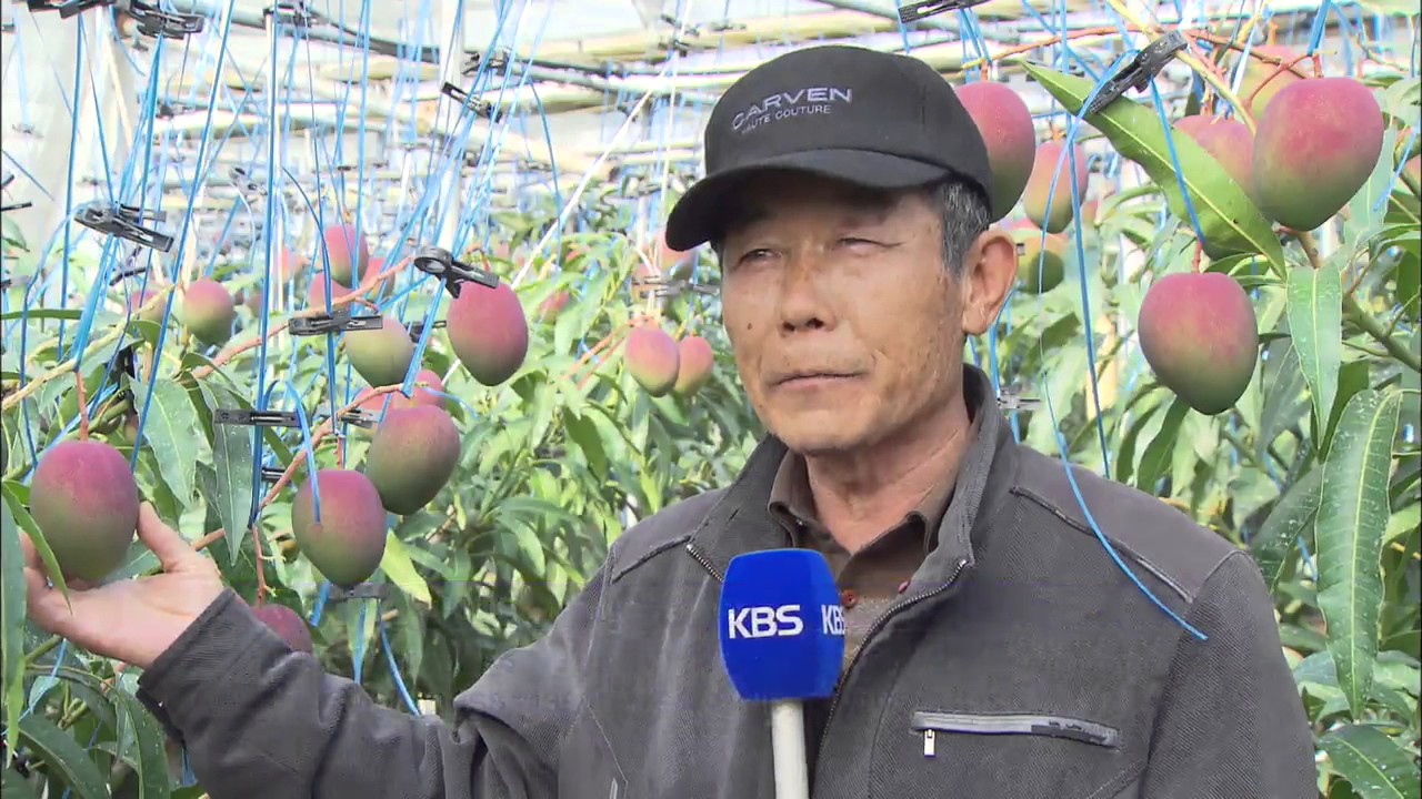 Geothermal Farming - YouTube