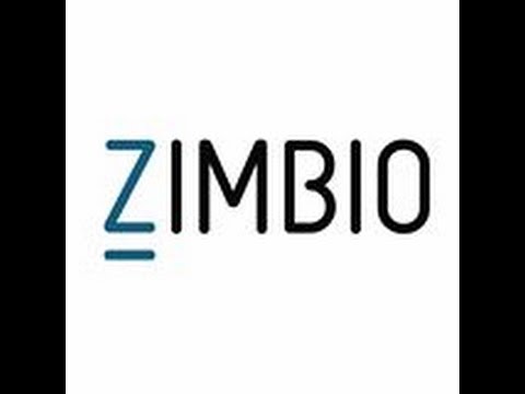 Zimbio's Personality Quiz Ep. 2 - YouTube