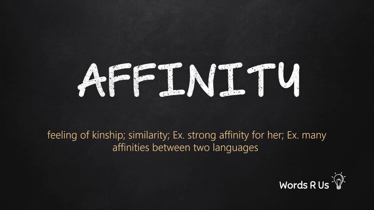 How to Pronounce AFFINITY in American English - YouTube