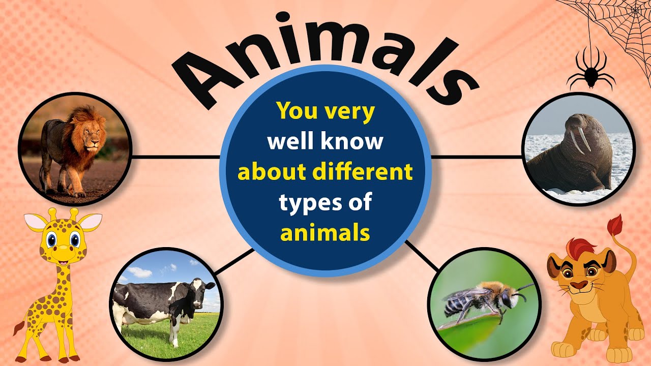 Types of Animals for Kids | Wild, Domestic, Pets, Birds, Insects ...