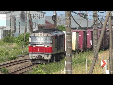 レッドベアーDF200-119号機牽引 3057レ 貨物列車 室蘭本線 本輪西駅 - YouTube