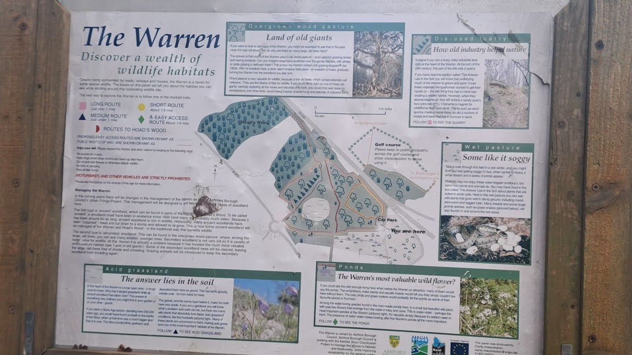 Jungle Safari Walking At The Warren, वारेनमा जंगल सफारी हिड्दै Ashford ...