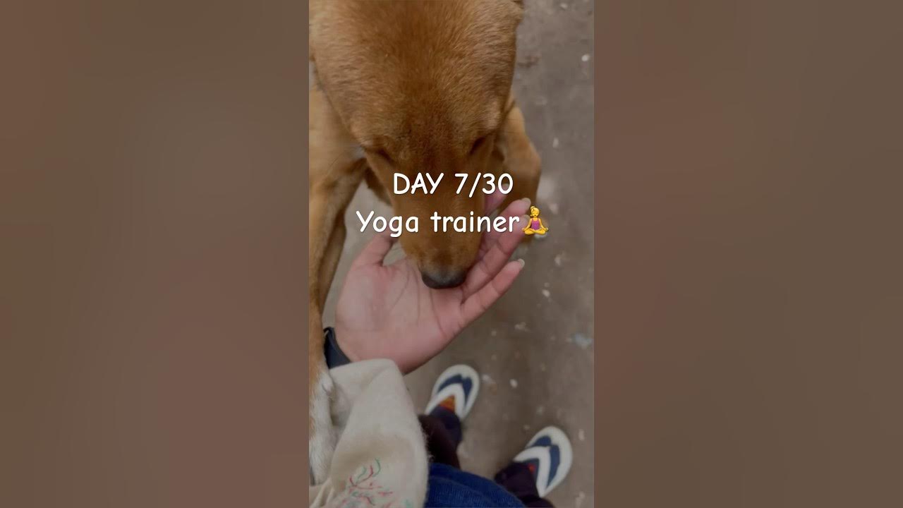 DAY7/30(30 days challenge)|mini vlog #30daychallenge #minivlog #dailyvlogs #yoga #yogagirl # ...