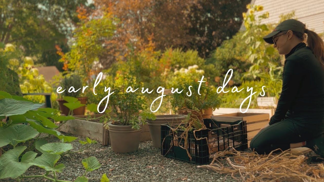 Slow yet productive garden moments | Dried Floral Wreath | Harvesting ...
