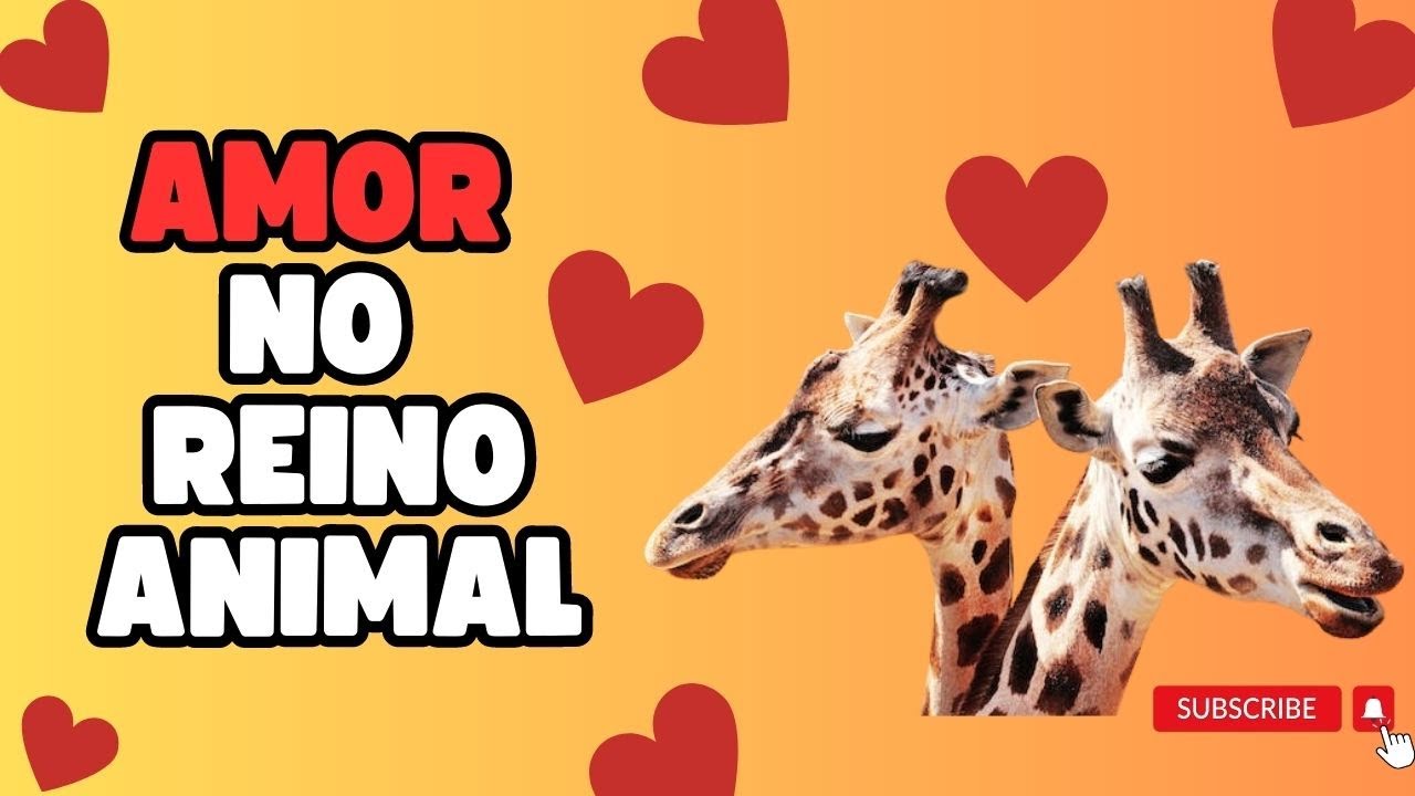 O ritual de acasalamento no reino animal - YouTube