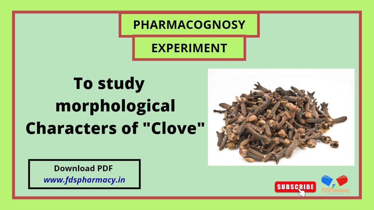 To study morphological identification of Clove | Pharmacognosy ...