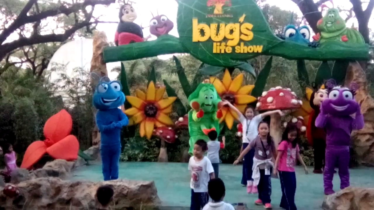 Bugs life show at insectlandia - YouTube