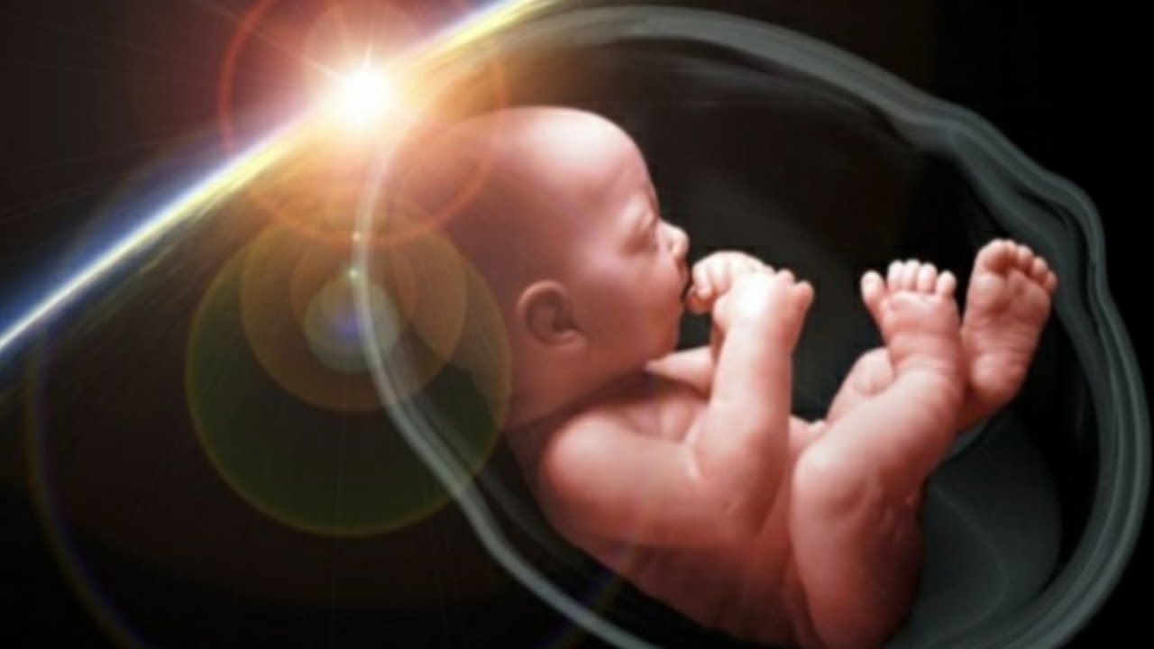 Embryology: Development of internal ear - YouTube