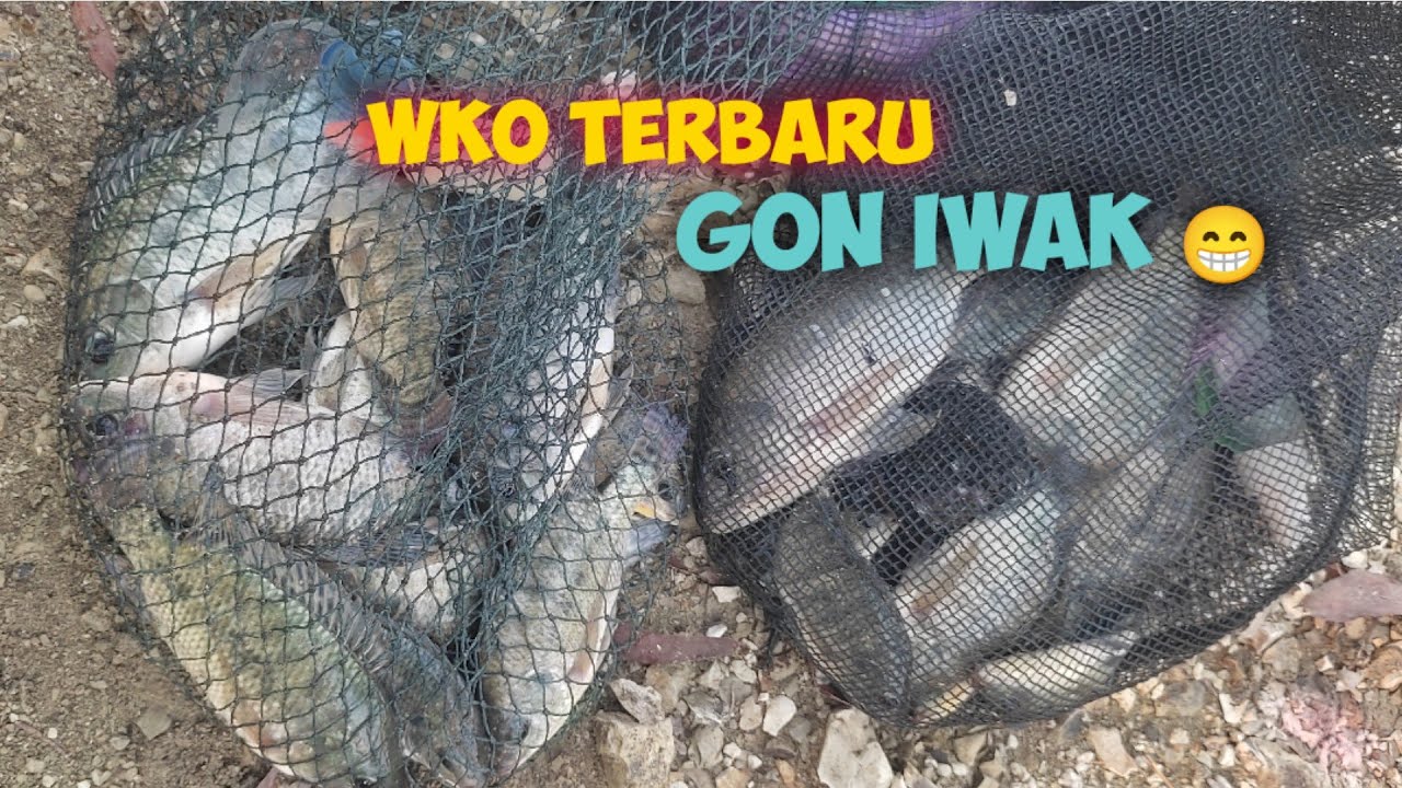 WKO MLAKU NYAMPAR IWAK‼️IKAN DISINI MINIM 3 JARI GEMUK #mancing # ...