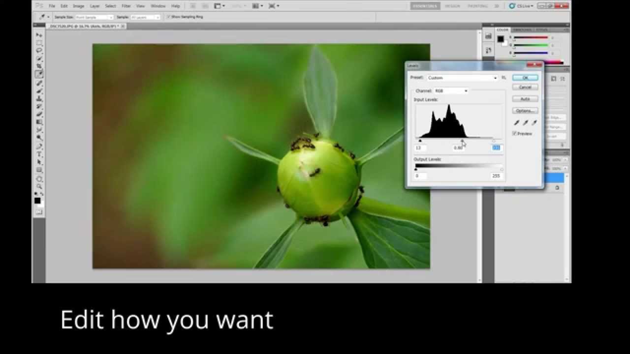 Photoshop Tutorial: Optimizing Images for the Web - YouTube