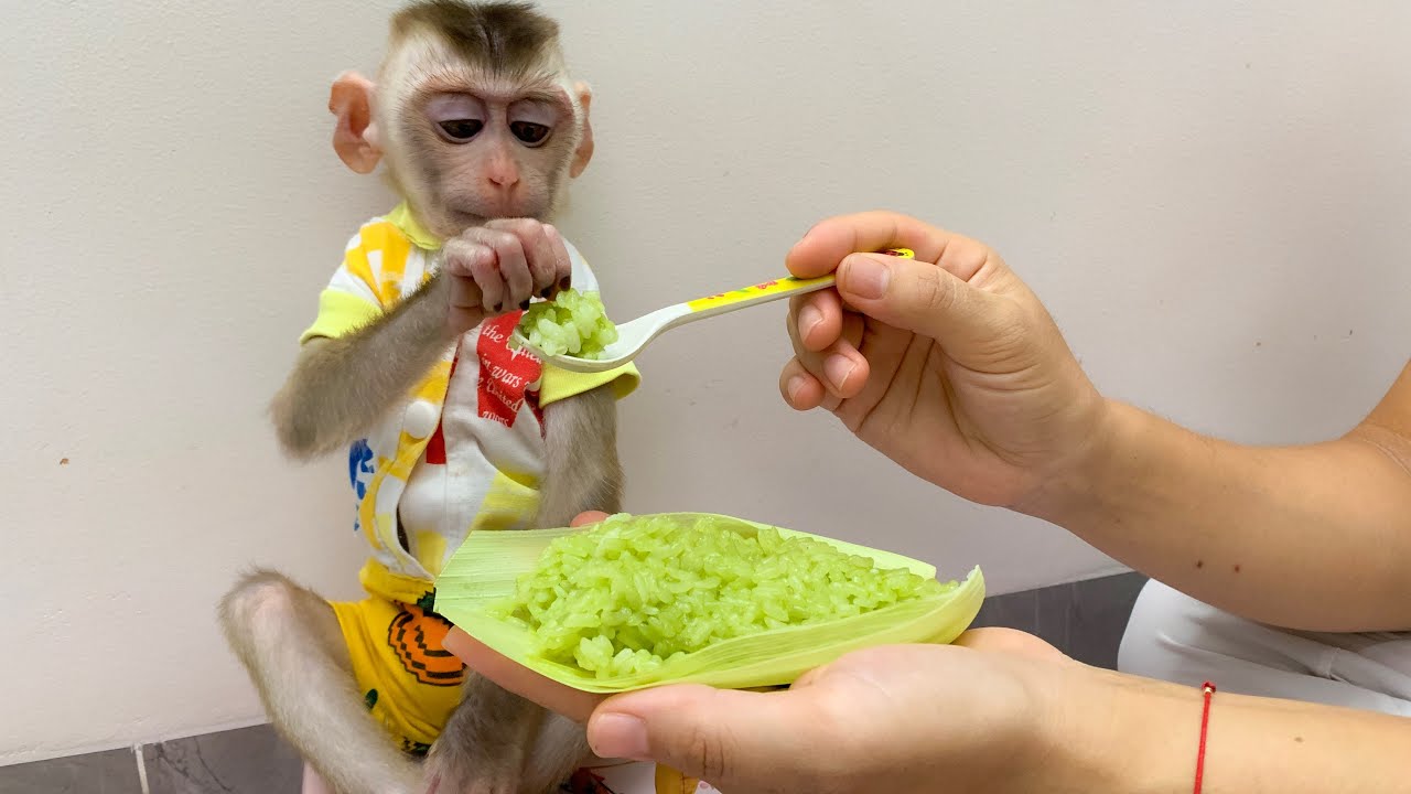 Monkey Puka and his mother make green sticky rice - YouTube