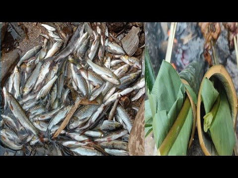 Masheer Fishing- Cooking & Camping in the Rivers of Himalayas|| Caught ...