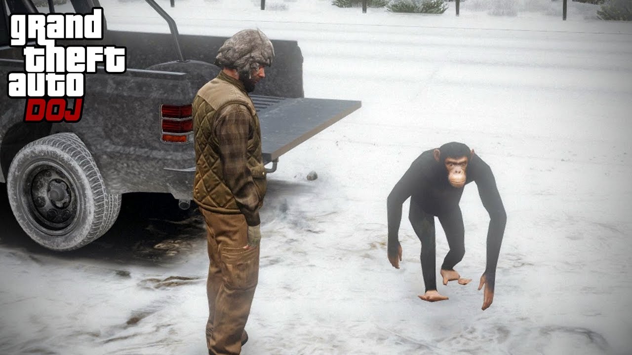 GTA 5 Roleplay - DOJ 354 - Jerry The Monkey (Civilian) - YouTube