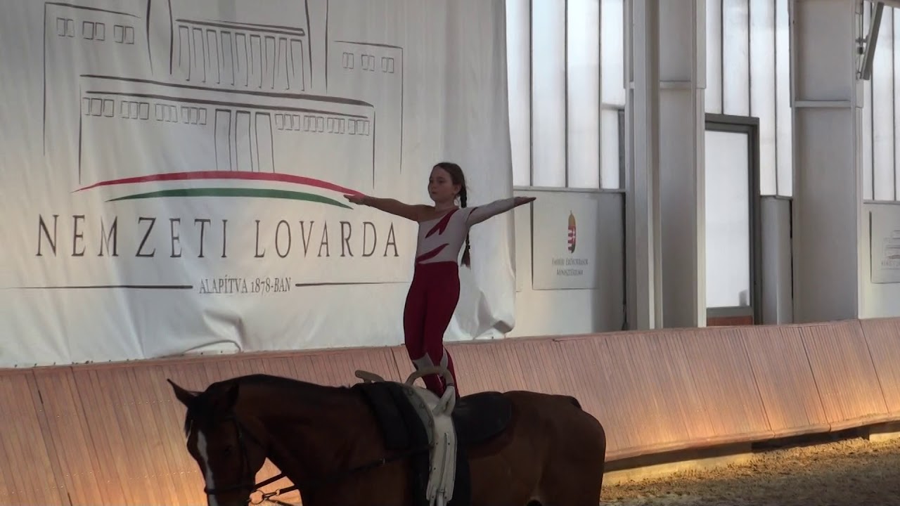 CVITESZT2019 - PHLSE - Rózsa Borbála Anna - Köt_Vk (2) - YouTube