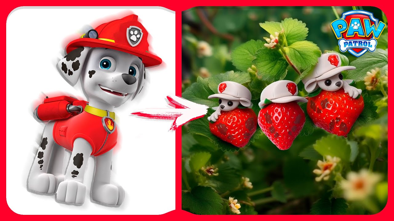 Paw Patrol Characters as BERRIES! - YouTube