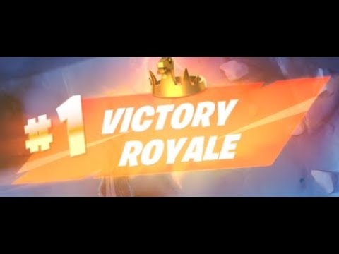 Fortnite: Victory Royale - Winter Dub - All Coins - YouTube