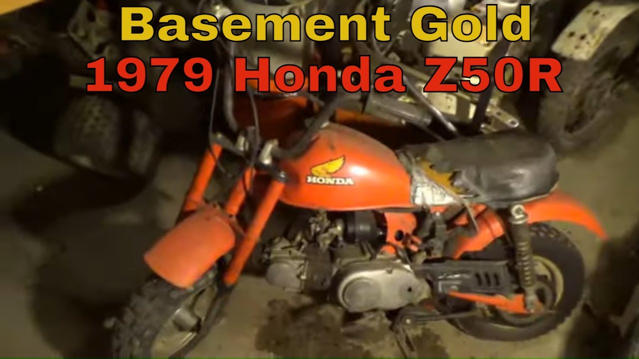 1979 Honda Mini Trail Z50R, Hidden in the Basement for Over 20 Years ...