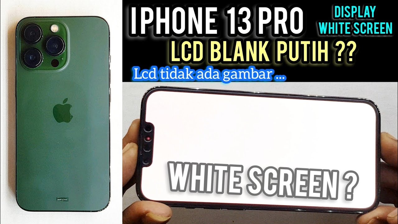 IPHONE 13 PRO LCD BLANK PUTIH ‼ WHITE SCREEN DISPLAY ?? - YouTube