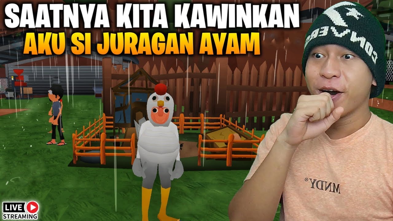 SAATNYA KITA KAWIN AYAM.? AKU SI JURAGAN AYAM STORY - AKU SI JURAGAN ...