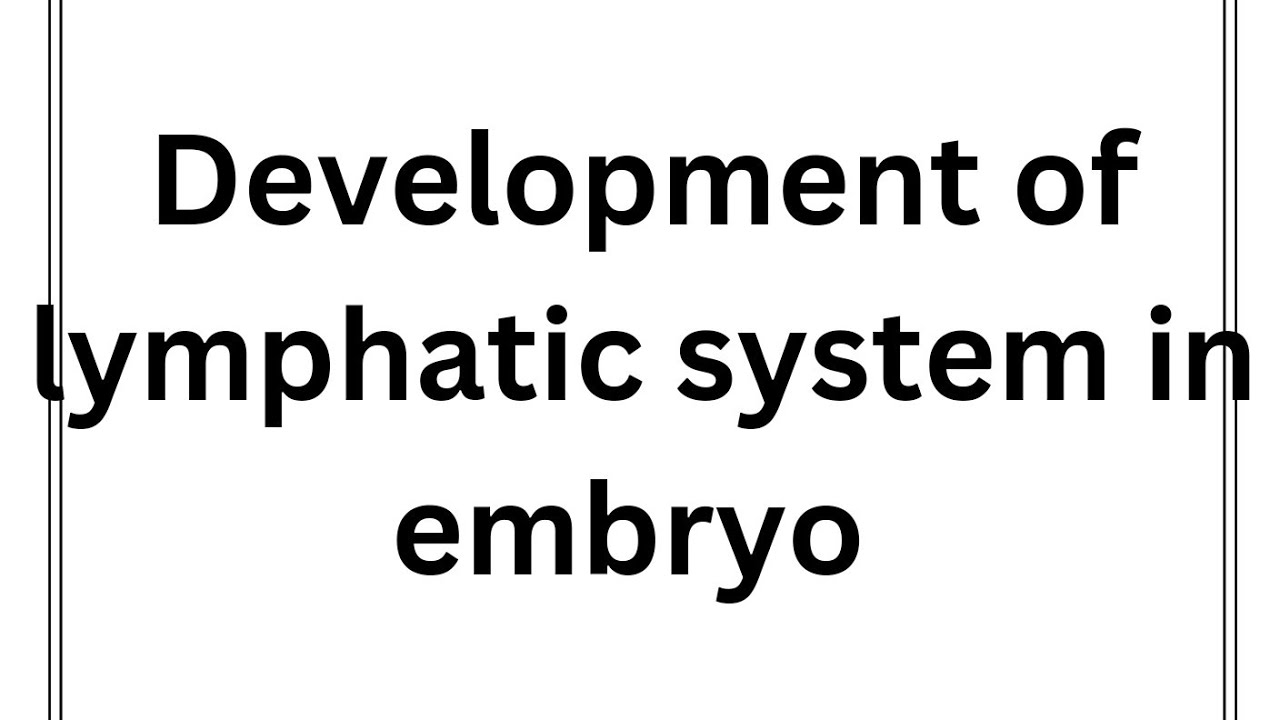CV A 006; Development of lymphatic system in embryo made easy - YouTube